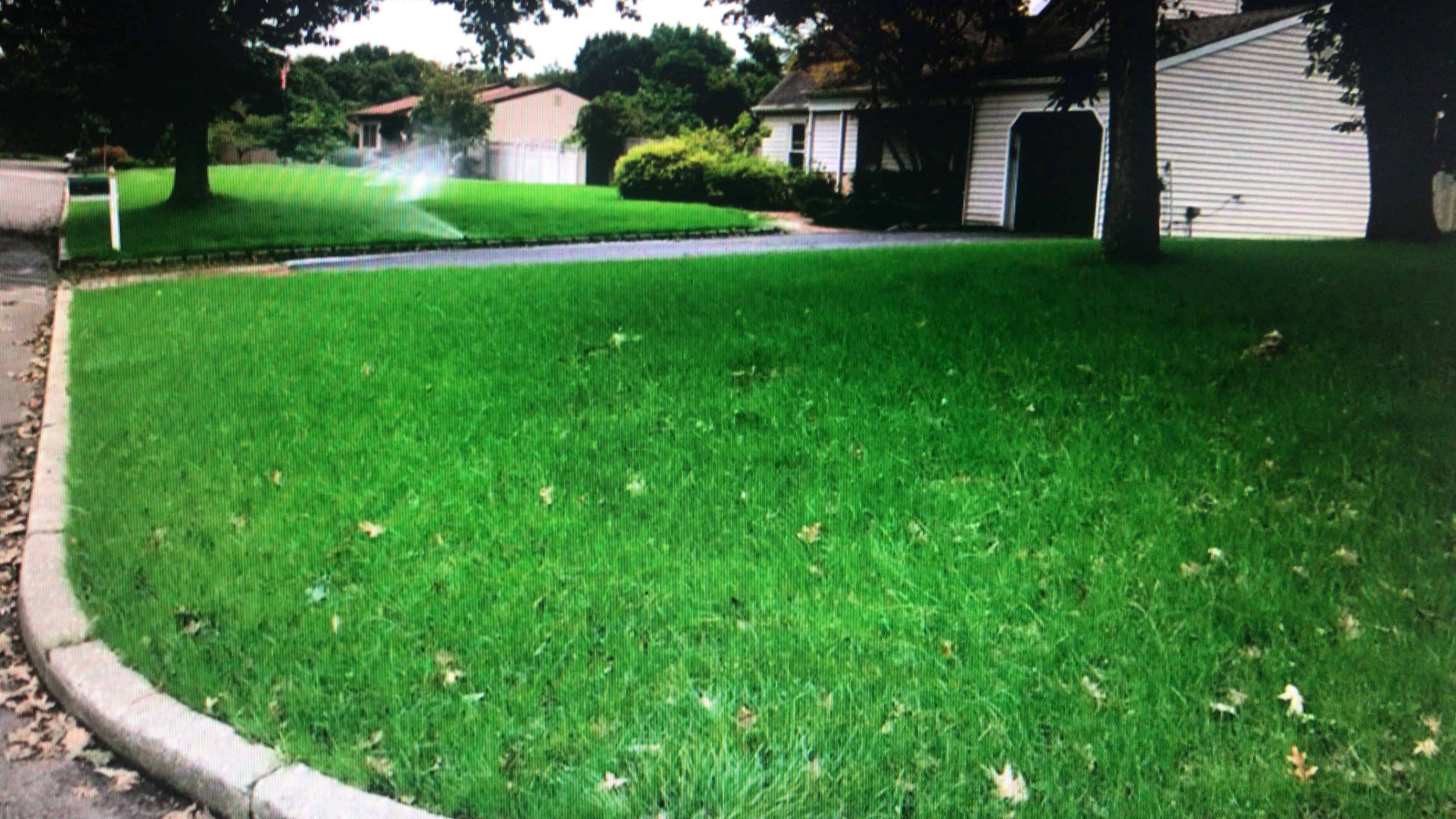 Choosing the Right Plants for Your Landscape | D&D Grading Inc